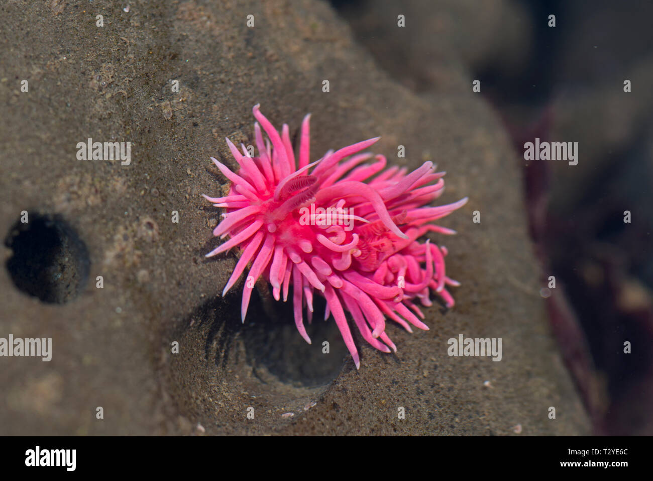 Hunts point hi-res stock photography and images - Alamy