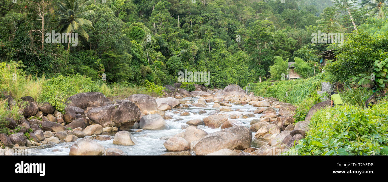 Small river full of rocks flowing through rainforest in Kiriwong Stock ...
