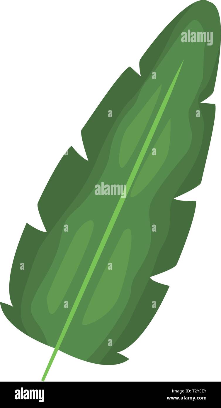 Leaf nature cartoon Stock Vector Image & Art - Alamy