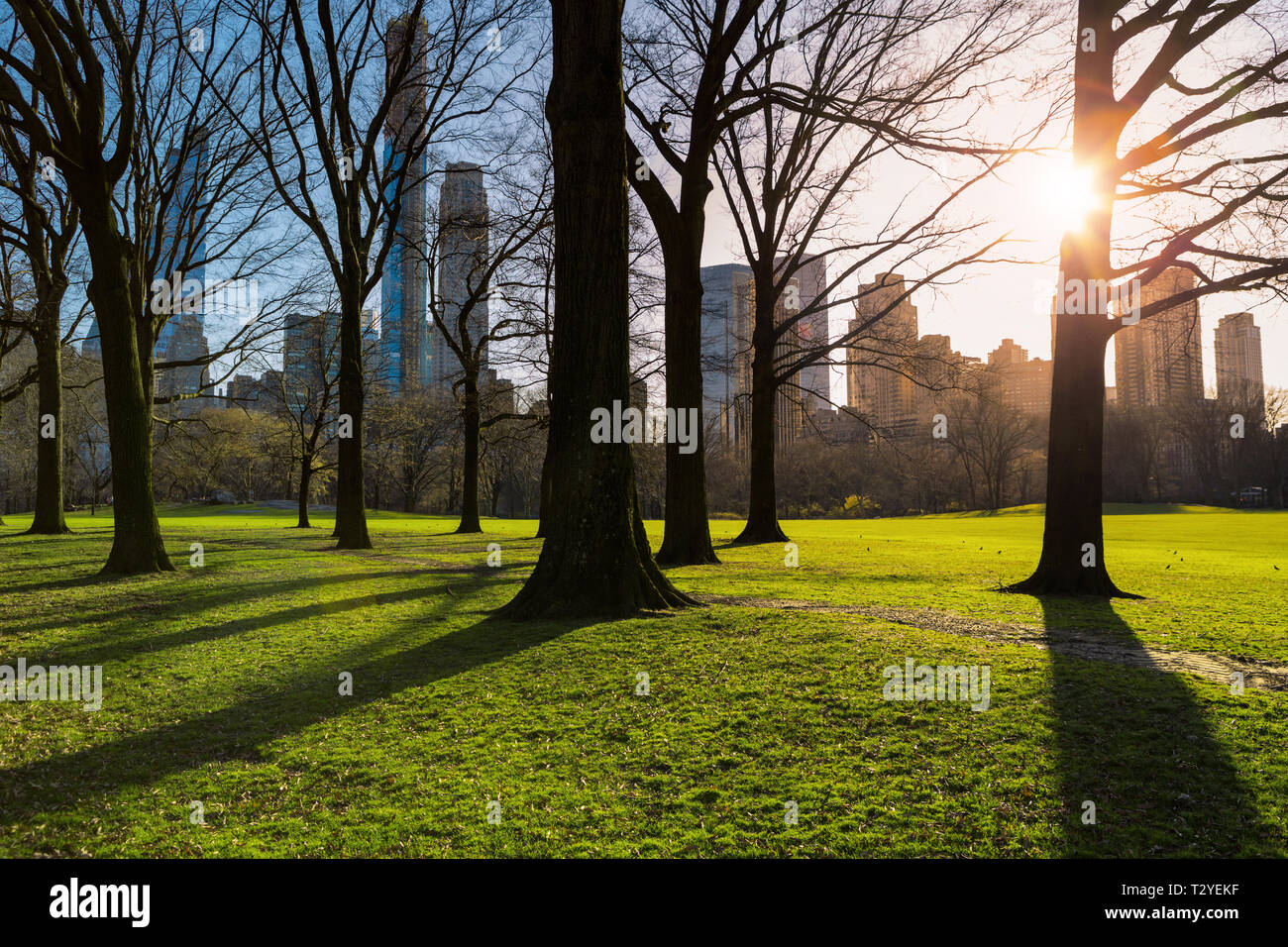 Central Park at sunny evening. New York outdoors, spring Stock Photo ...