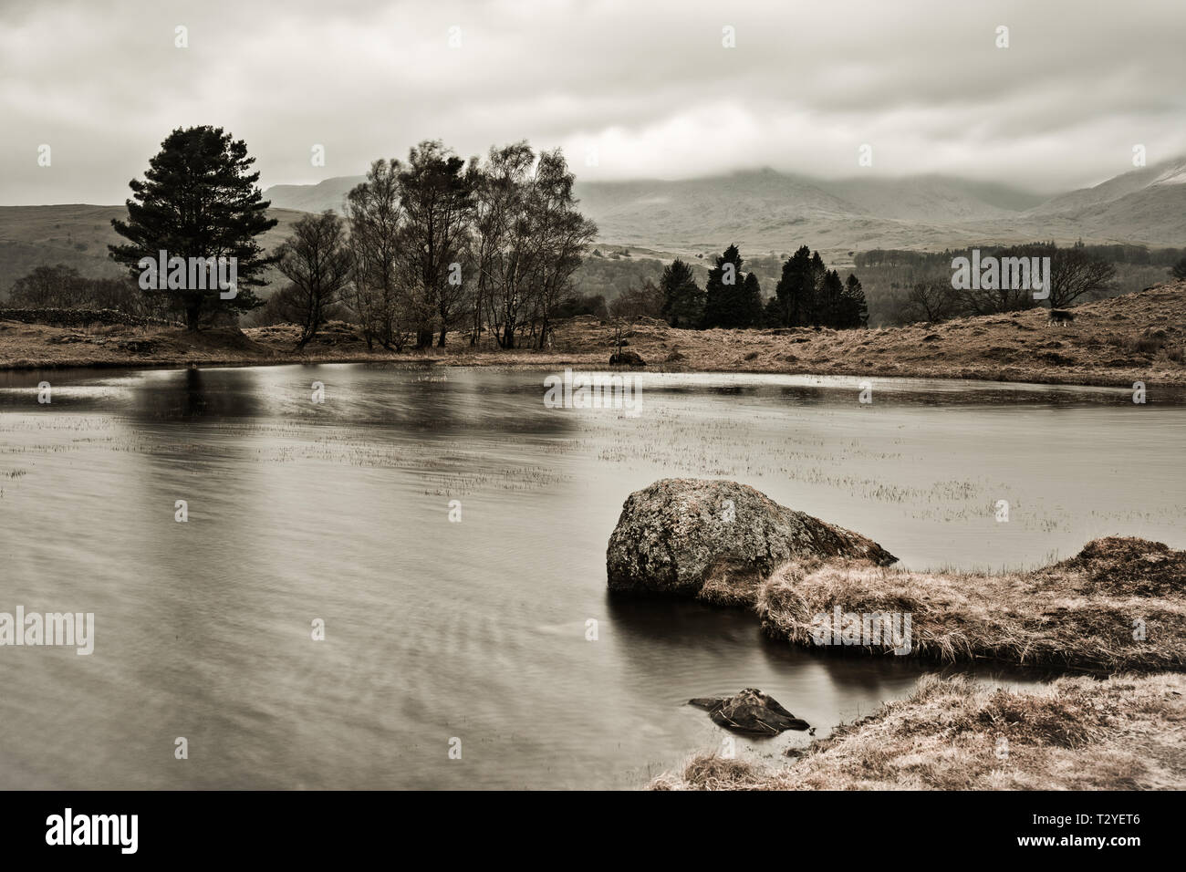 Kelly hall tarn torver lake hi-res stock photography and images - Alamy