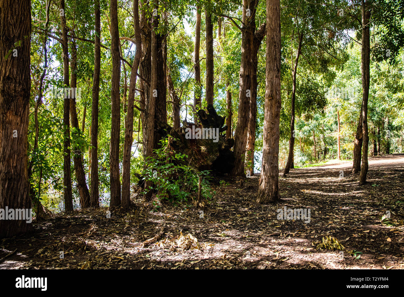 Broken shore hi-res stock photography and images - Alamy