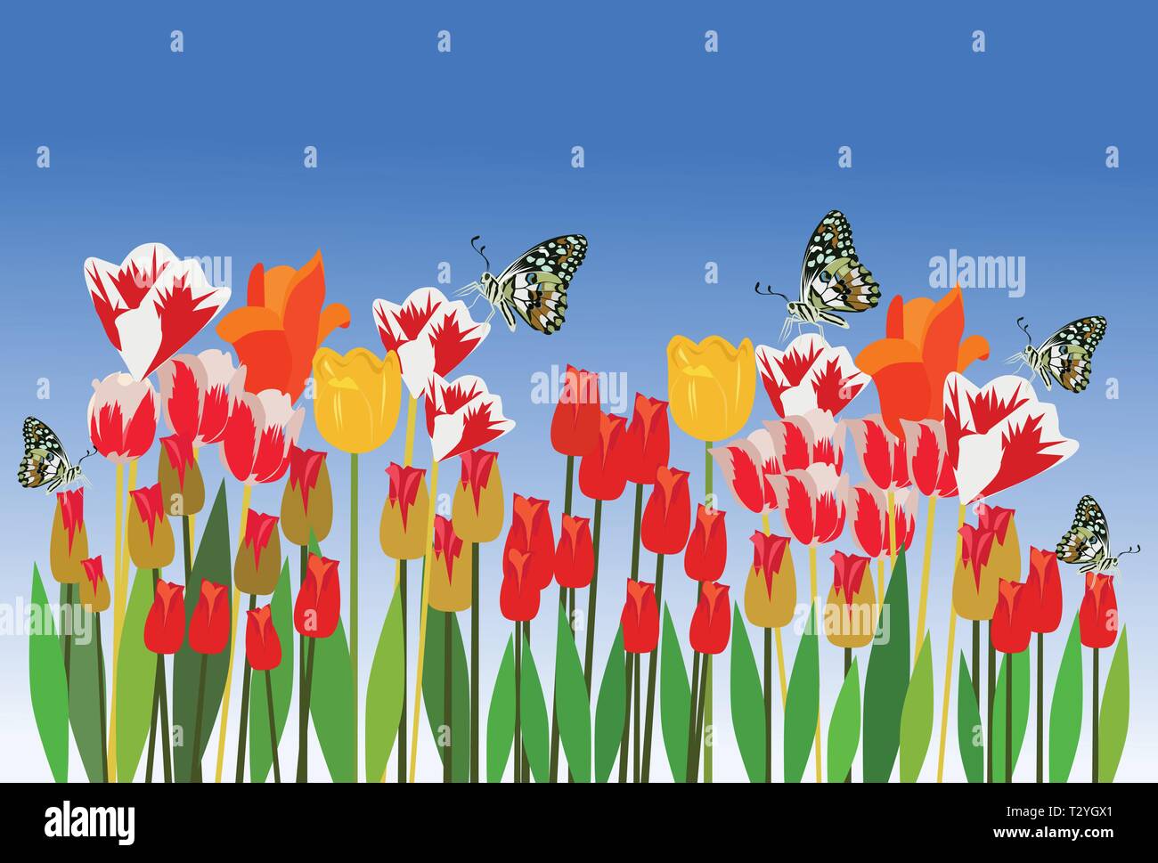 Field blue flowers on Stock Vector Images - Alamy