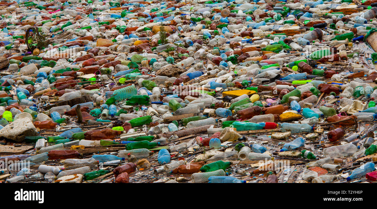 lake pollution with plastic bags in the water. ecologycal disaster ...
