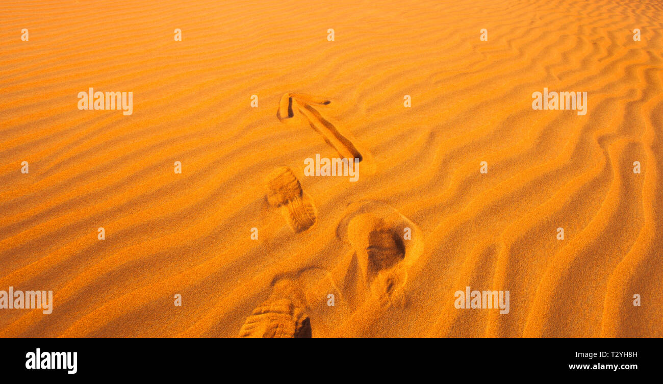 arrow in the desert sand pointing forward, leader concept Stock Photo ...