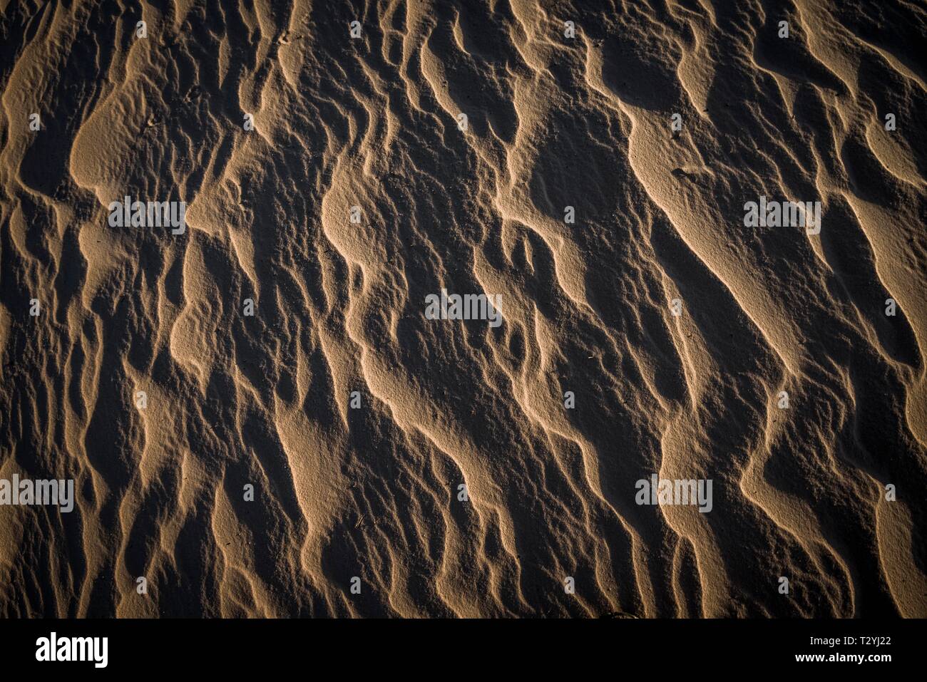 Wave structures in the bright sandy beach, sand drifts, background ...