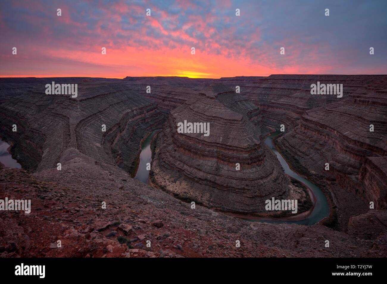 Goosenecks at sunset, river loop, meander of the San Juan River ...
