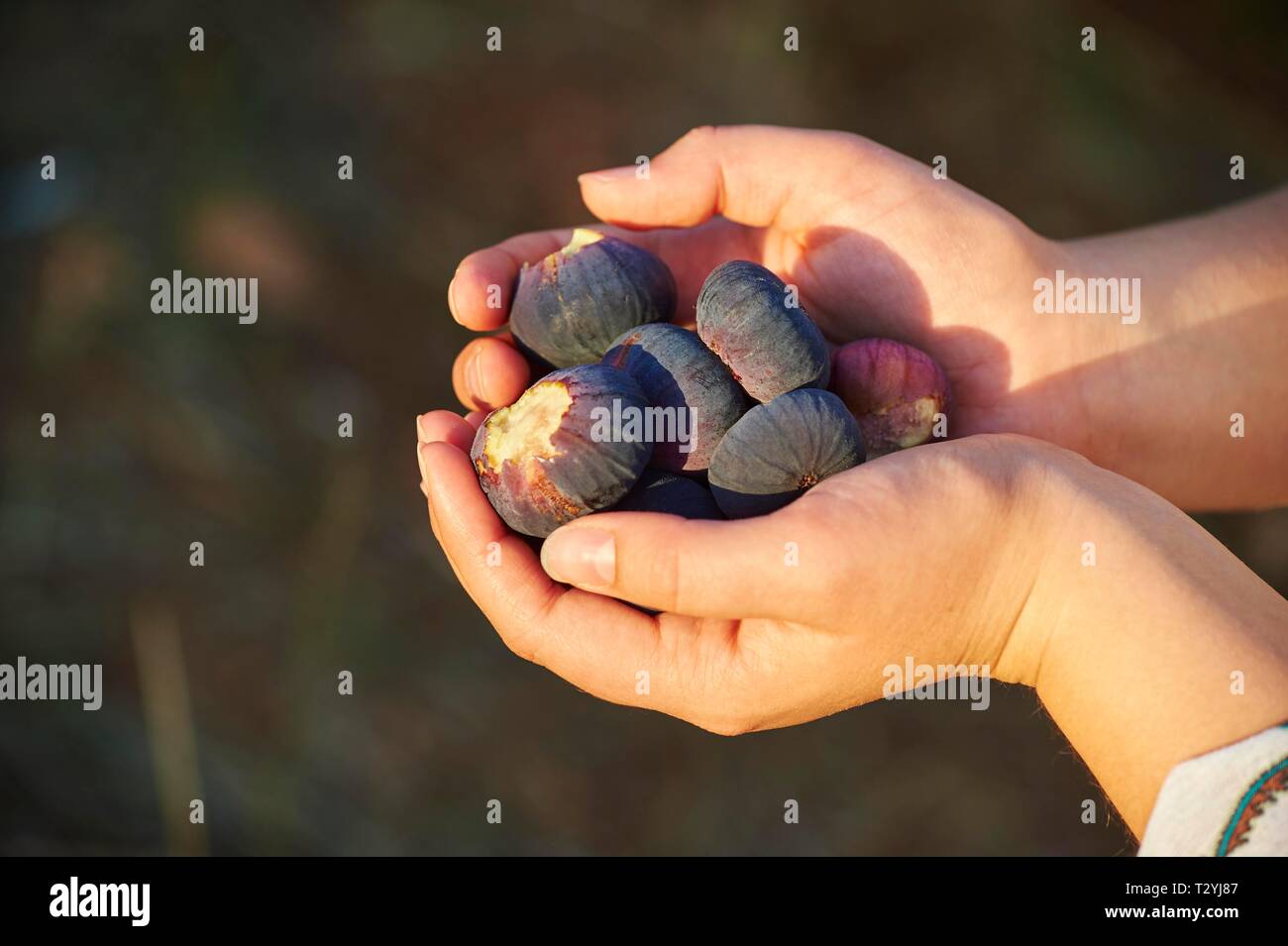 Blue fruits hi-res stock photography and images - Alamy