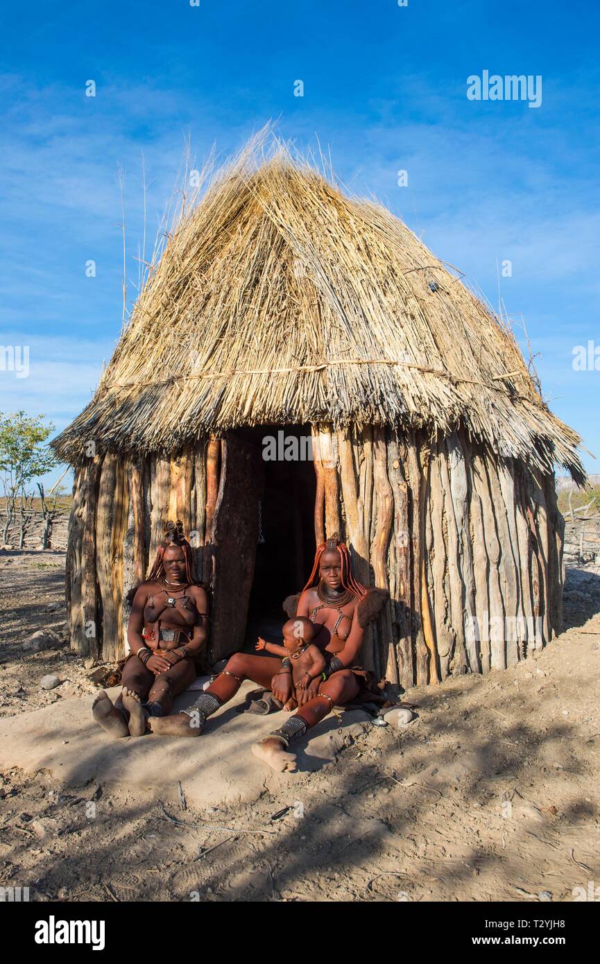 Himba women in front of their wooden hut, Kaokoland, Namibia Stock ...