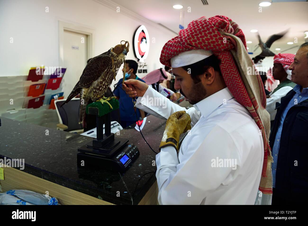Falcon is weighed, Lobby, Falcon Hospital, Souq Waqif, Doha, Qatar ...