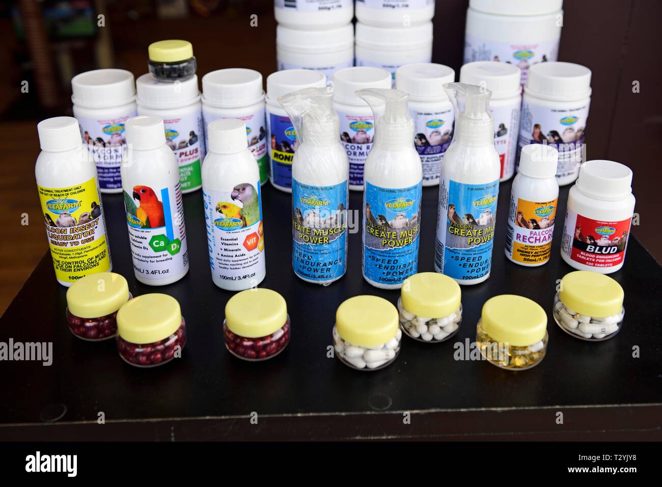 Falcon festival doha hi-res stock photography and images - Alamy