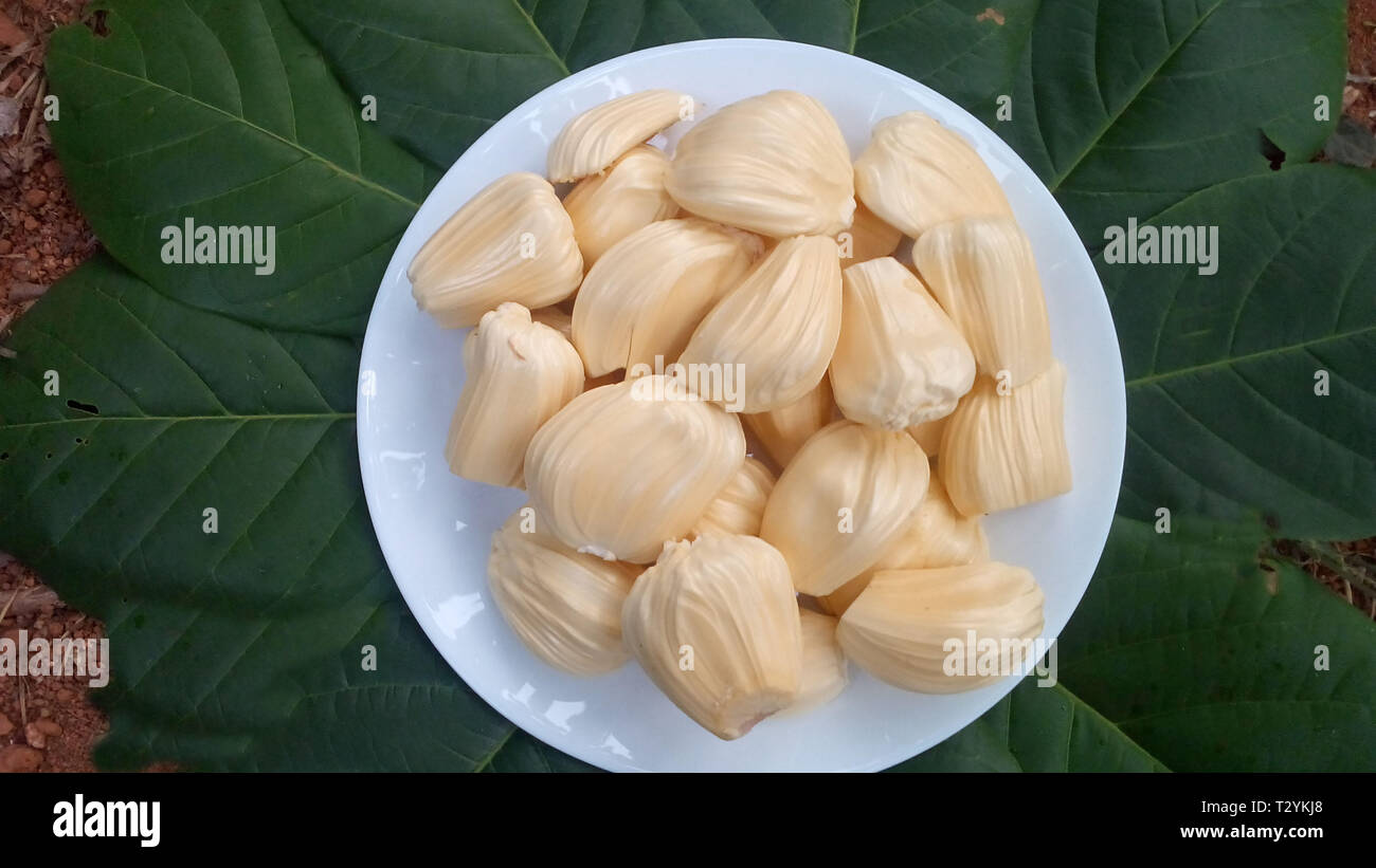 Jackfruit chips hi-res stock photography and images - Alamy