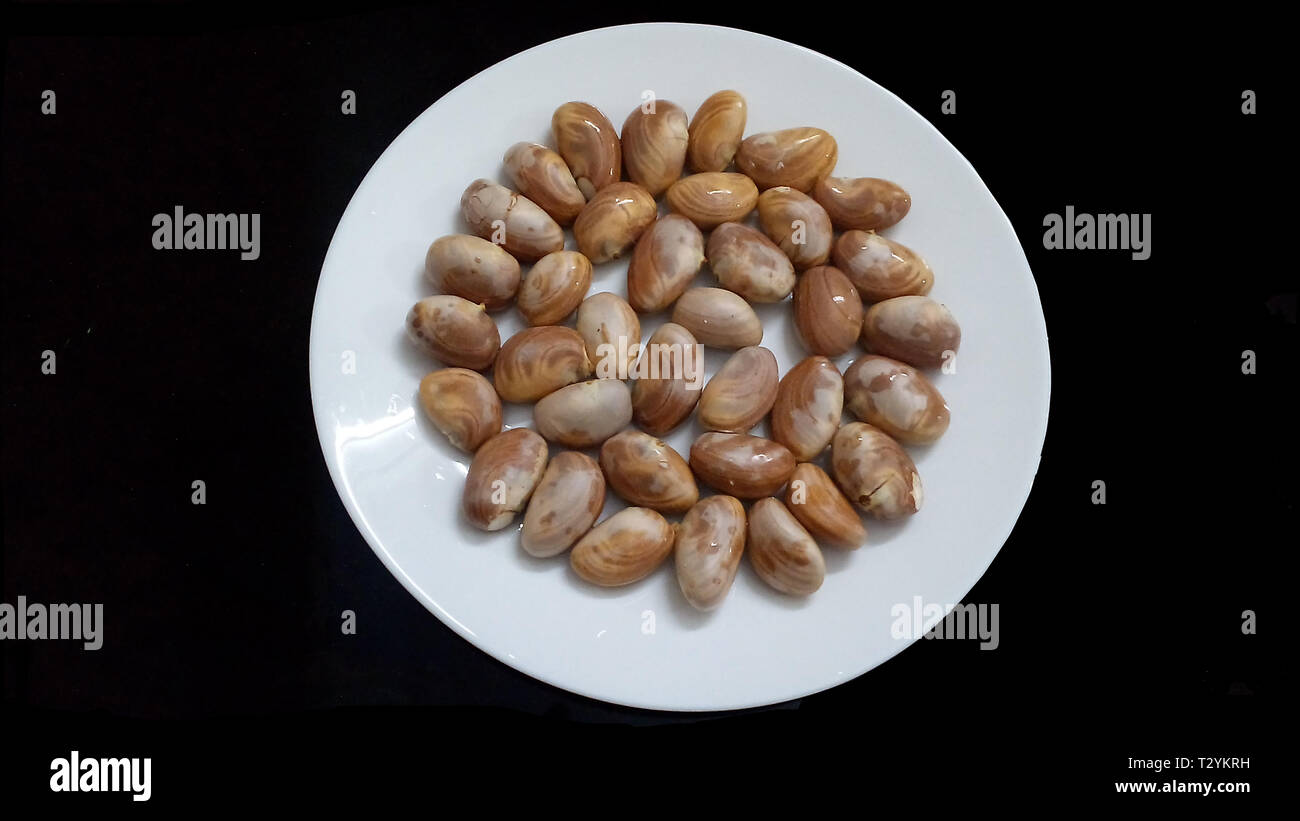 jack fruit seed Stock Photo - Alamy