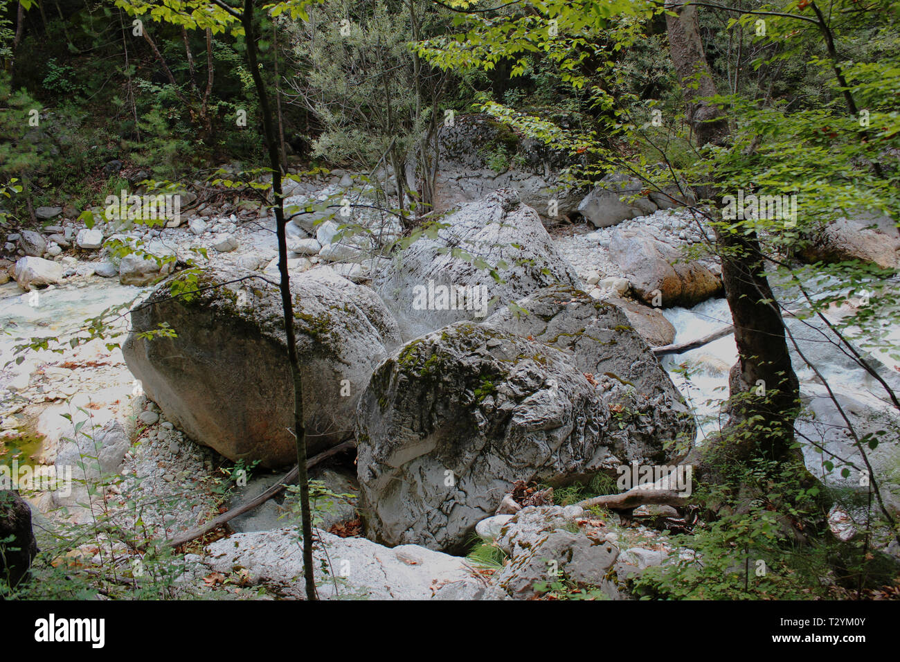 River and Springs in Pozar Thermal Baths Aridaia Greece Stock Photo - Alamy
