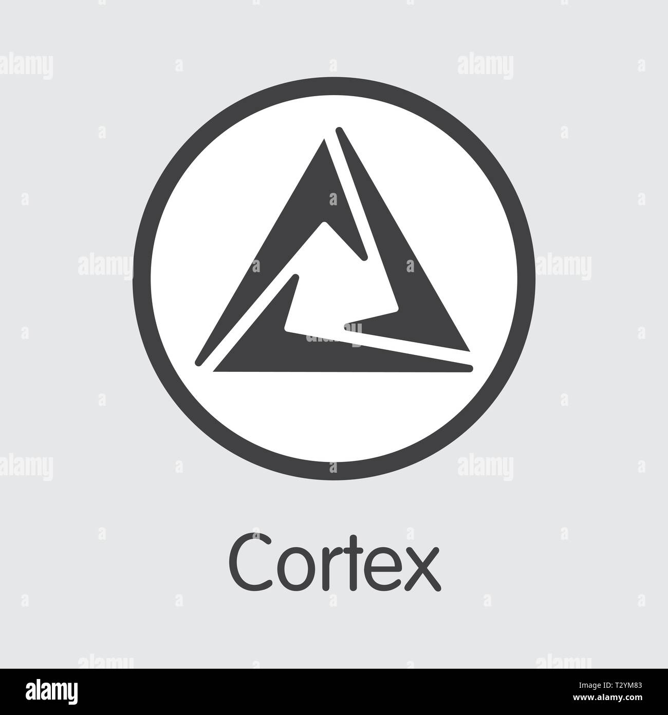 Cortex Stock Vector Images - Alamy