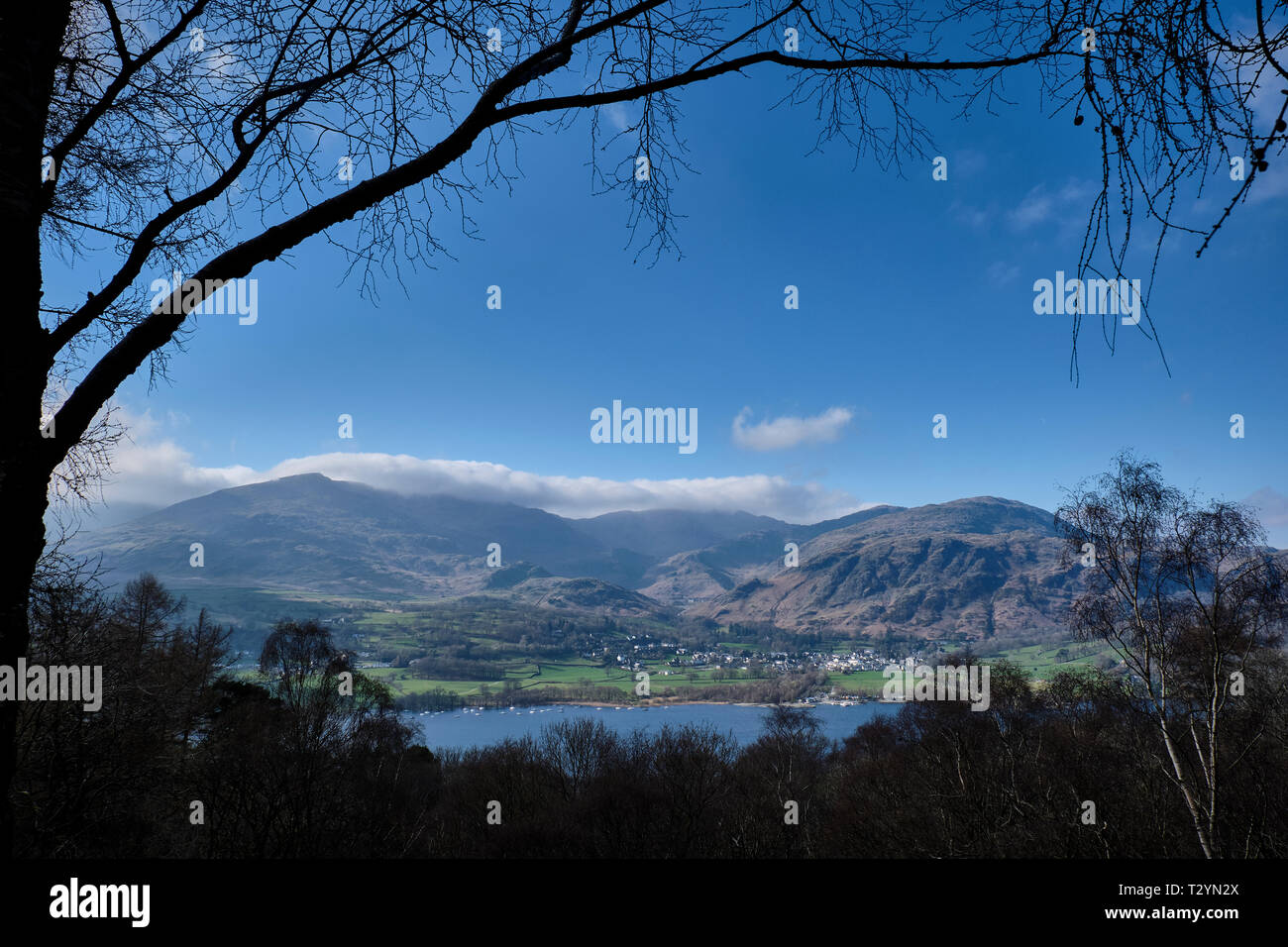 Orange tree,old man hi-res stock photography and images - Alamy