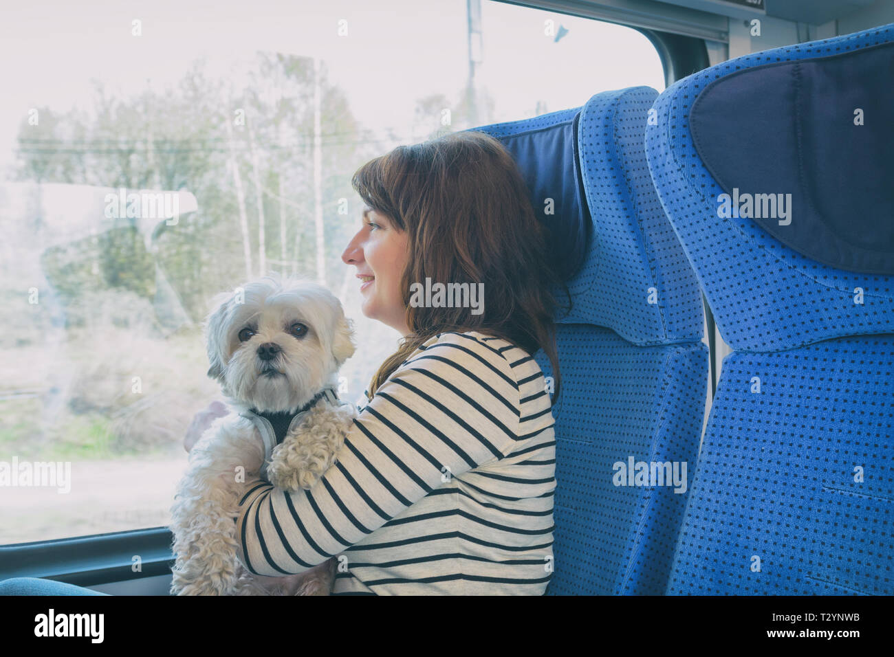 Dog train transport hi-res stock photography and images - Alamy