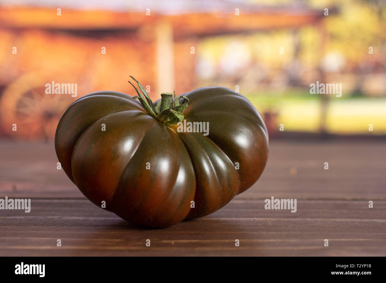 Primora tomato hi-res stock photography and images - Alamy