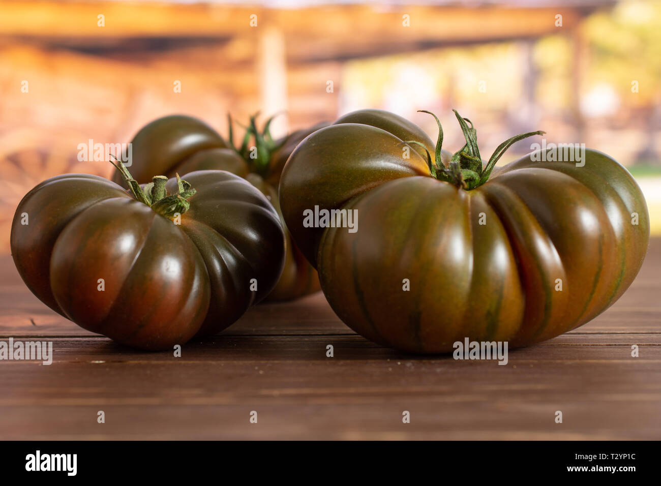 Group of three whole fresh tomato primora in a yard Stock Photo - Alamy