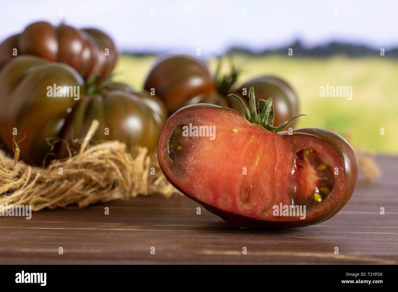 Primora tomato hi-res stock photography and images - Alamy