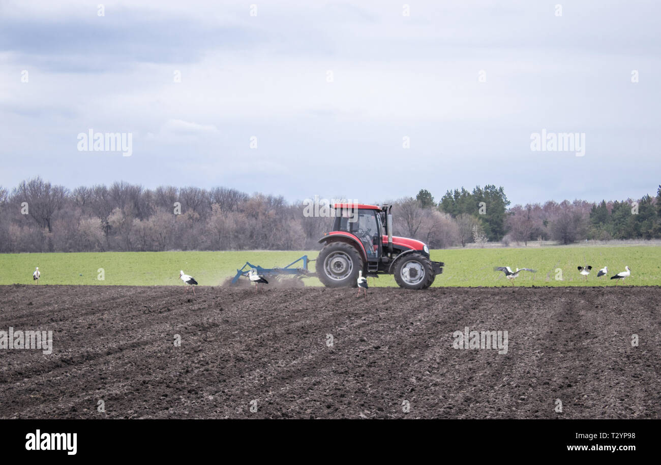 Farmers preparing land and fertilizingThe tractor handles the land ...