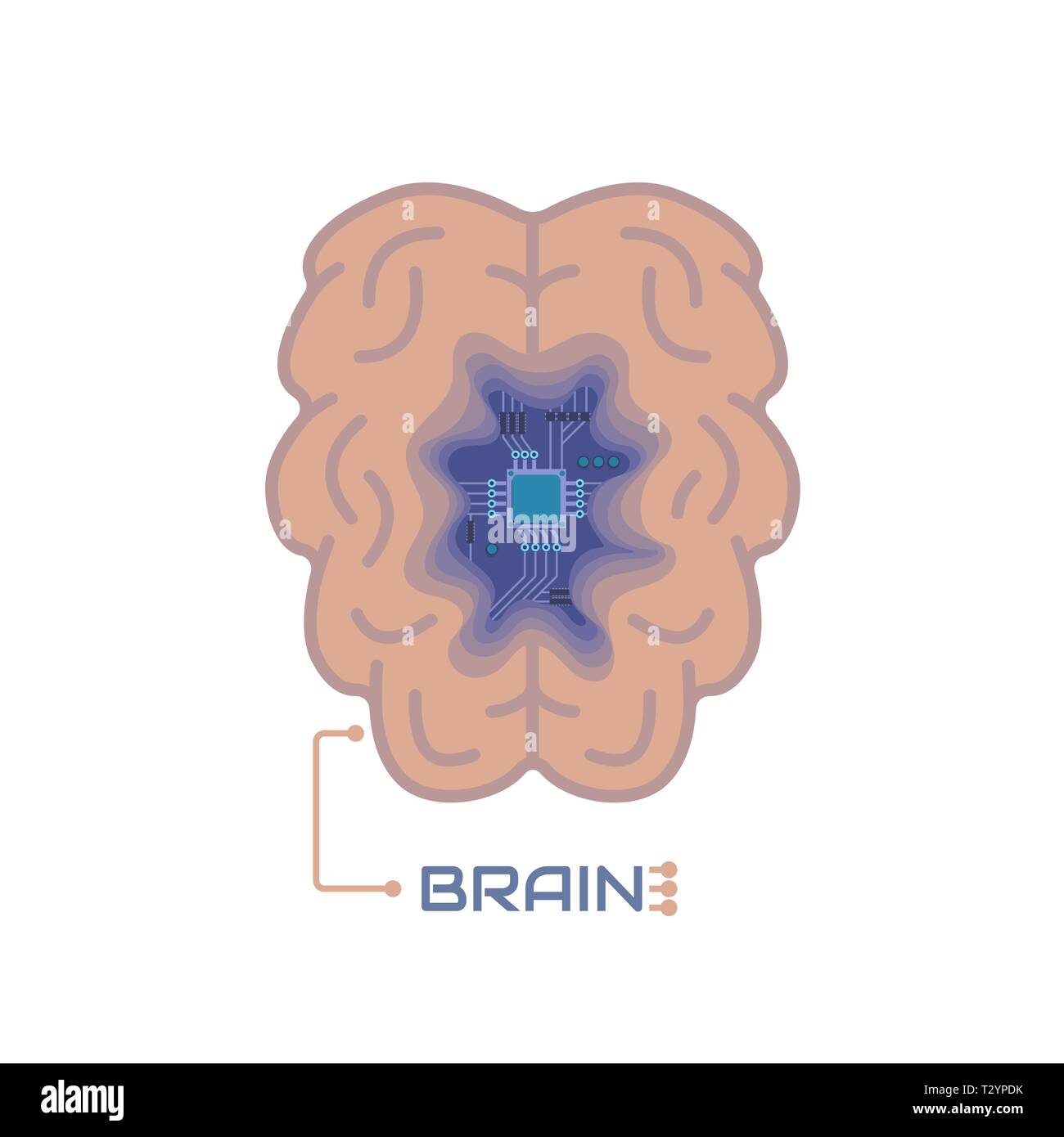 Human brain with a computer CPU. Vector illustration is in brown and ...
