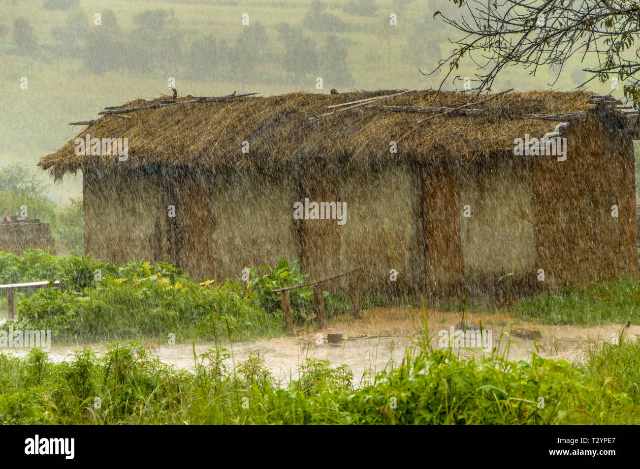 Rain falls onto a roof hi-res stock photography and images - Alamy