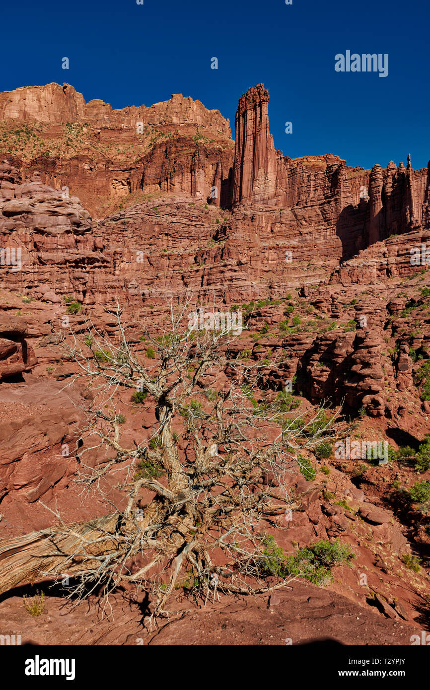 Fisher Towers, Moab, Utah, USA, North America Stock Photo - Alamy