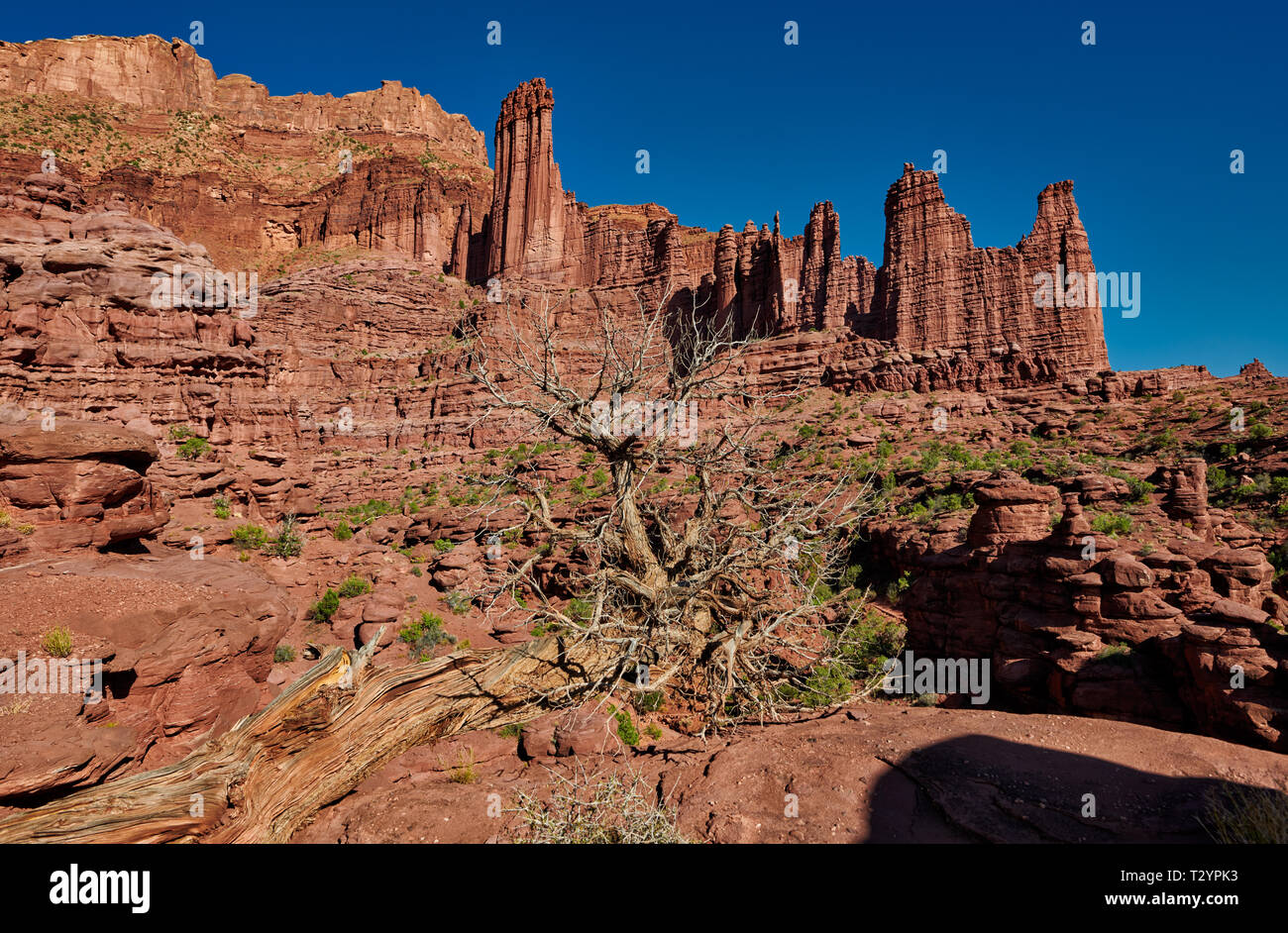 Fisher Towers, Moab, Utah, USA, North America Stock Photo - Alamy