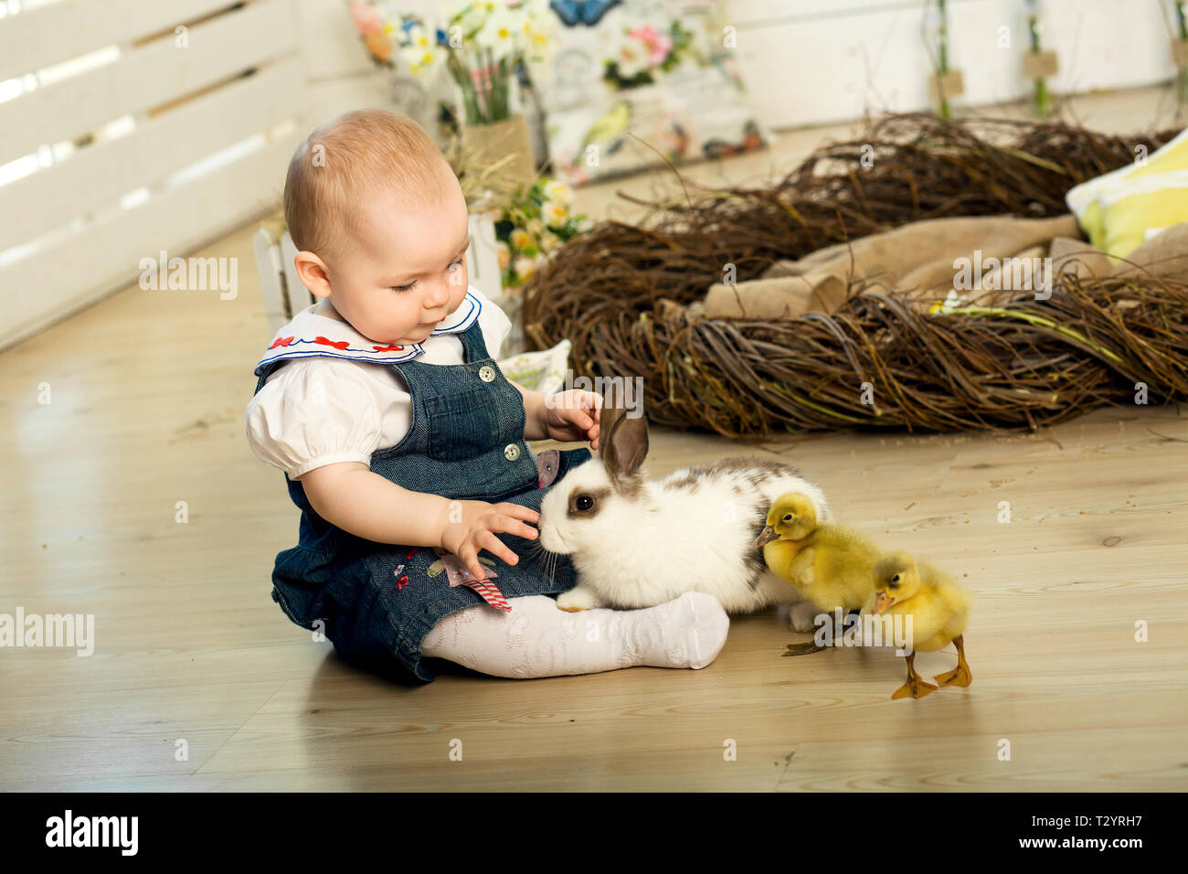 happy little girl is played with a cute fluffy white Easter bunny and ...
