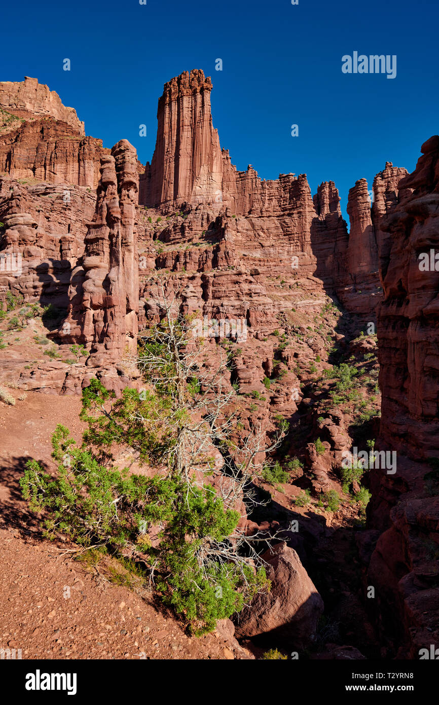 Fisher Towers, Moab, Utah, USA, North America Stock Photo - Alamy