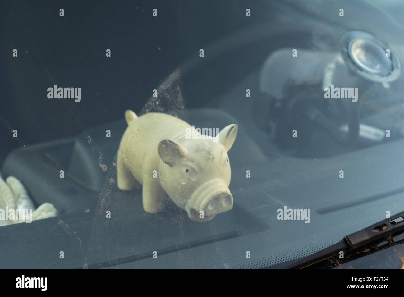 Cute fat pig toy behind a car's windshield window - Sunny reflection ...