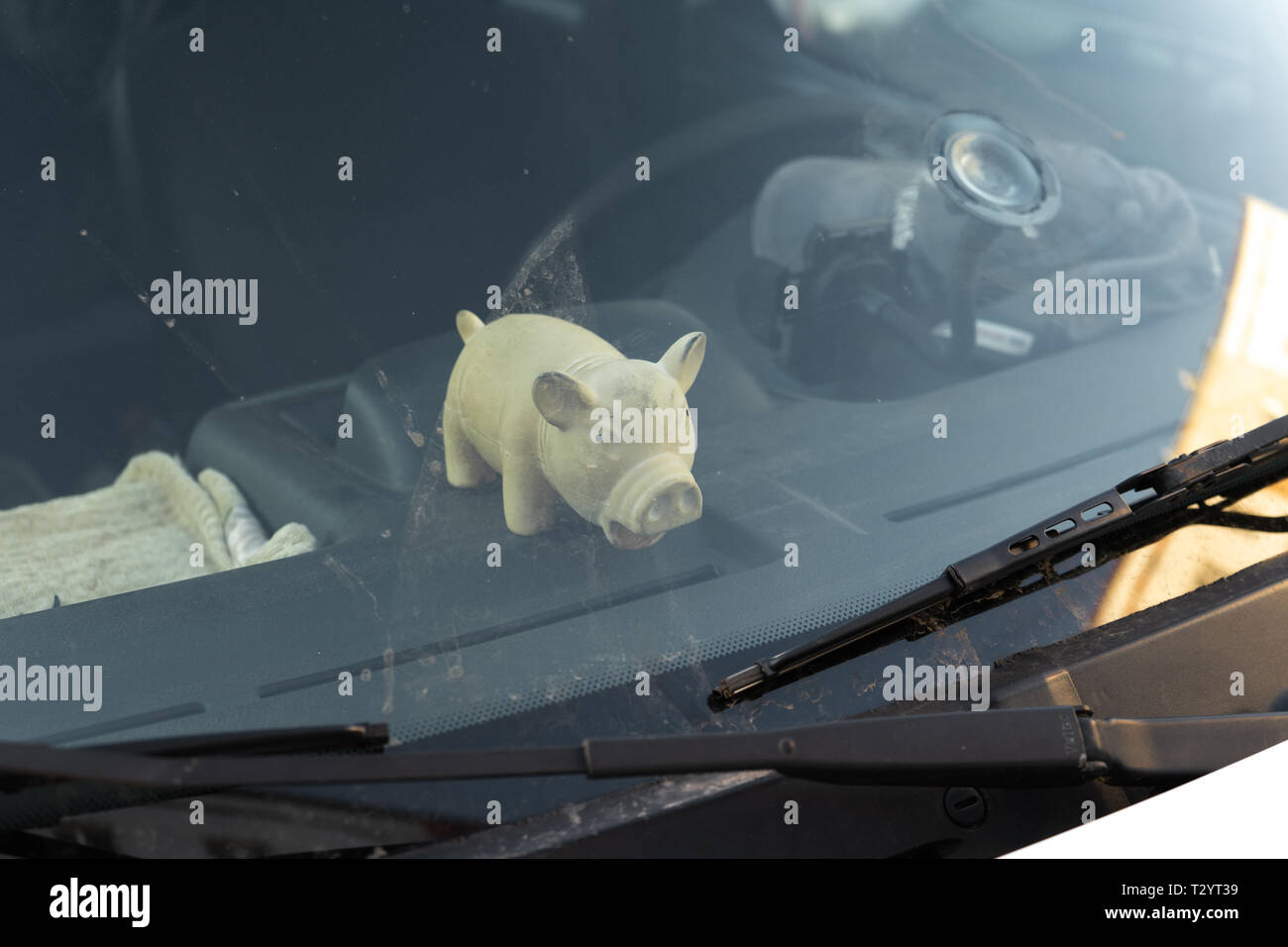Cute fat pig toy behind a car's windshield window - Sunny reflection ...