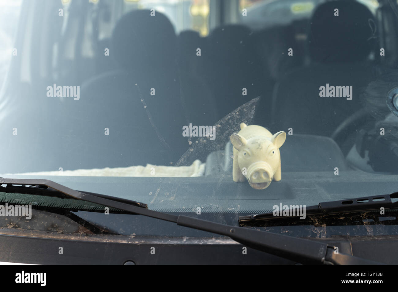 Cute fat pig toy behind a car's windshield window - Sunny reflection ...