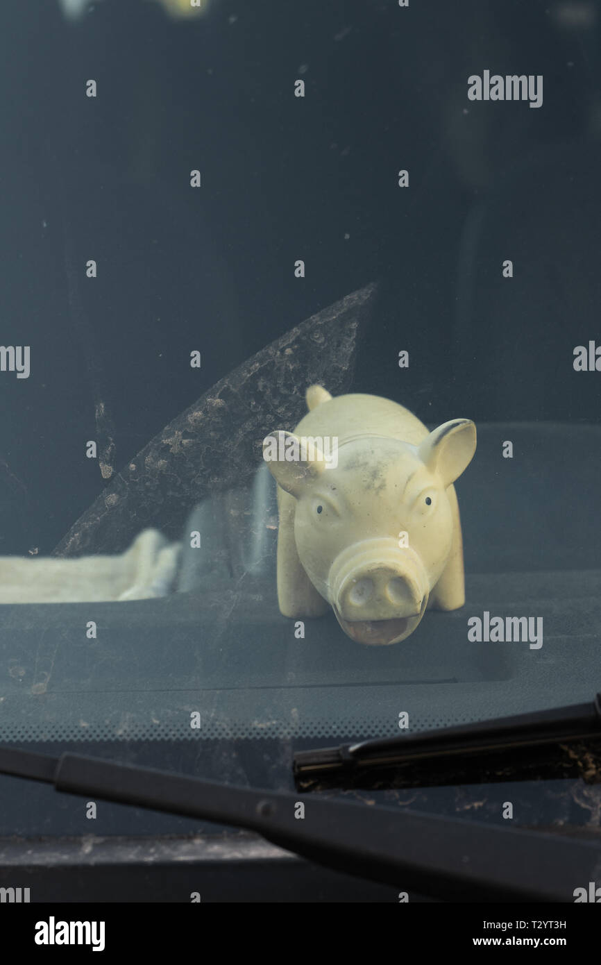 Cute fat pig toy behind a car's windshield window - Sunny reflection ...