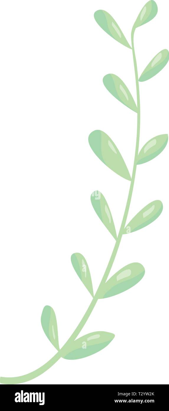branch with leafs plant vector illustration design Stock Vector Image ...