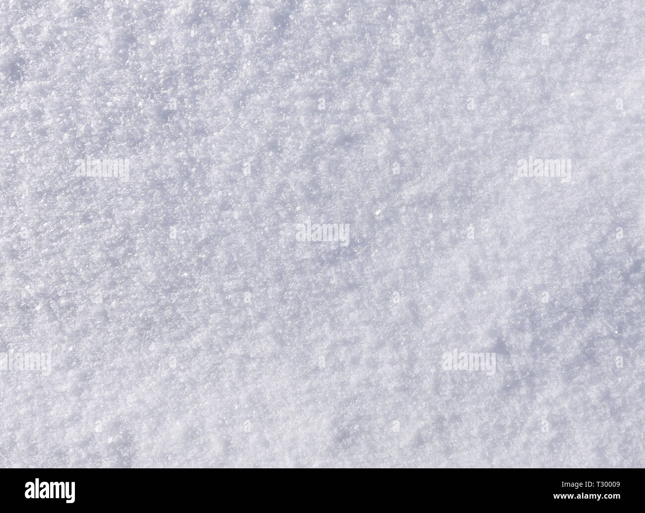 Arctic fresh snow Stock Photo - Alamy