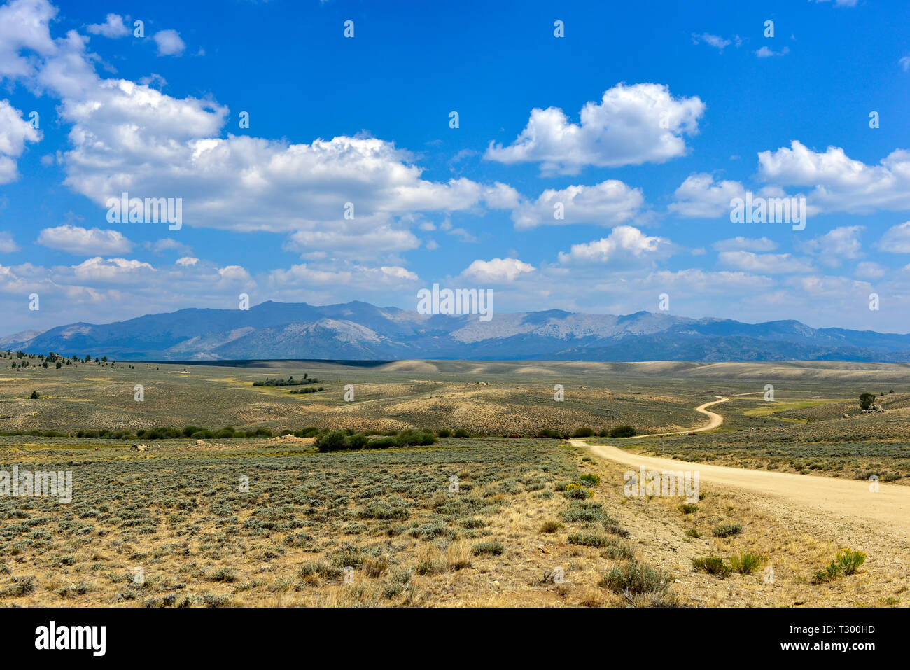Sweetwater Gap Road near Boulder, Wyoming Stock Photo - Alamy