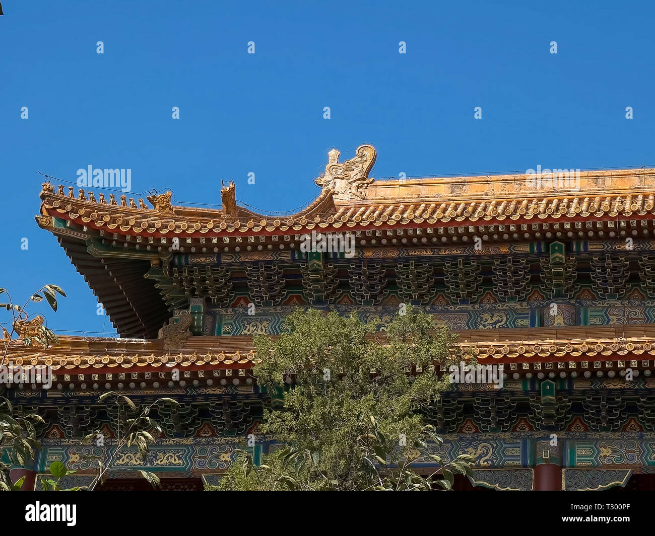 close up of a section of roof in the forbidden city, beijing China ...