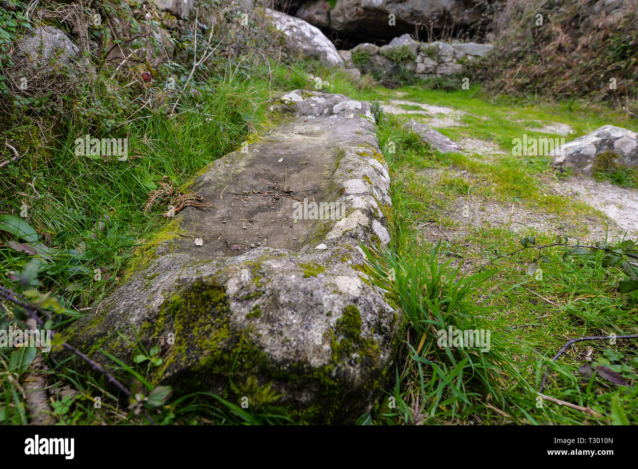 A slab of rocked that has been linked with ancient fertility rites in ...