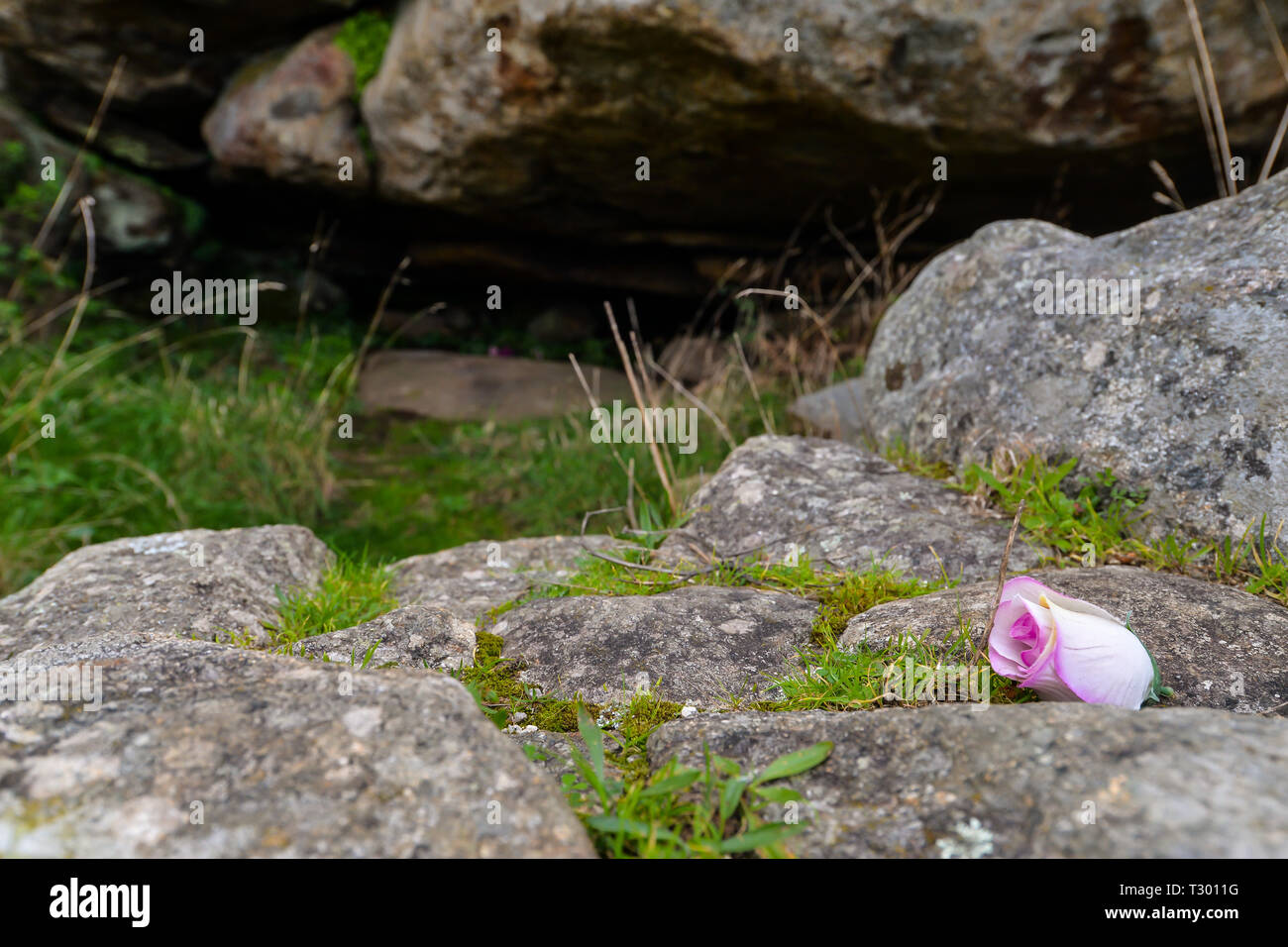 A slab of rocked that has been linked with ancient fertility rites in ...