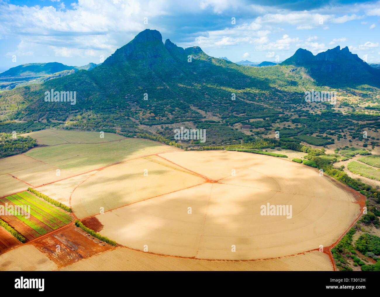 Aerial view of Mauritius island. Landscape of colorful fields and ...