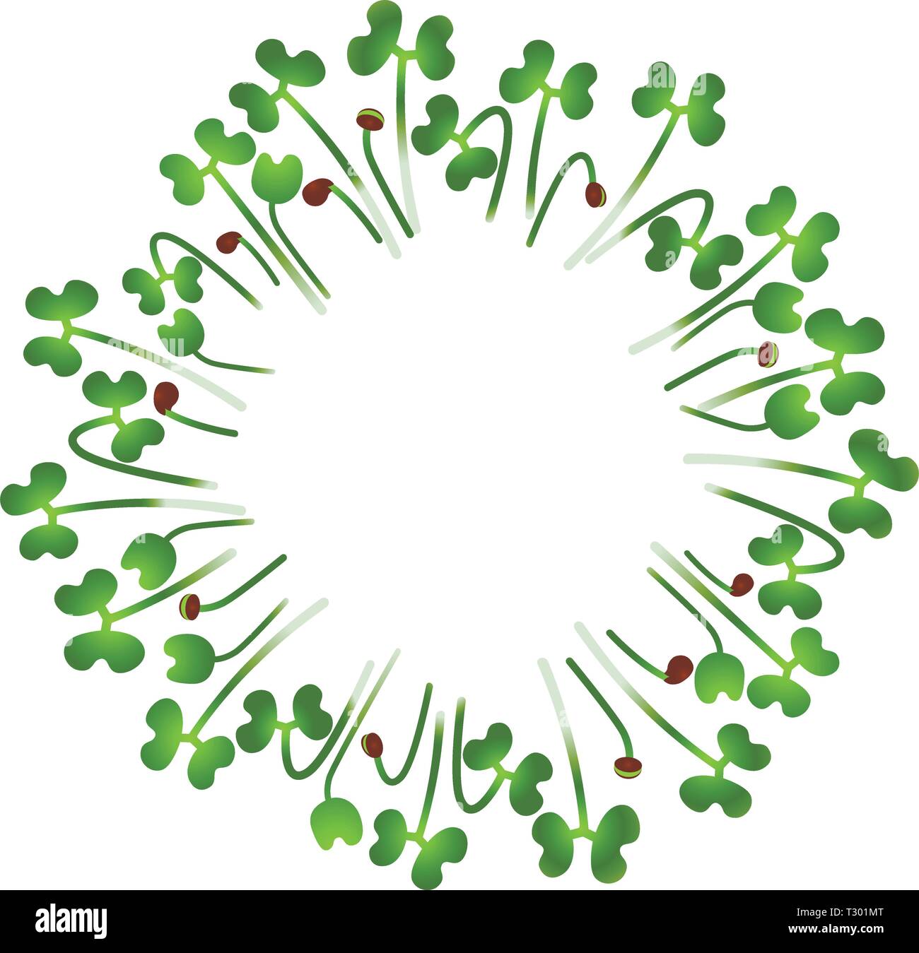 Microgreens Collard. Arranged in a circle. Vitamin supplement, vegan ...