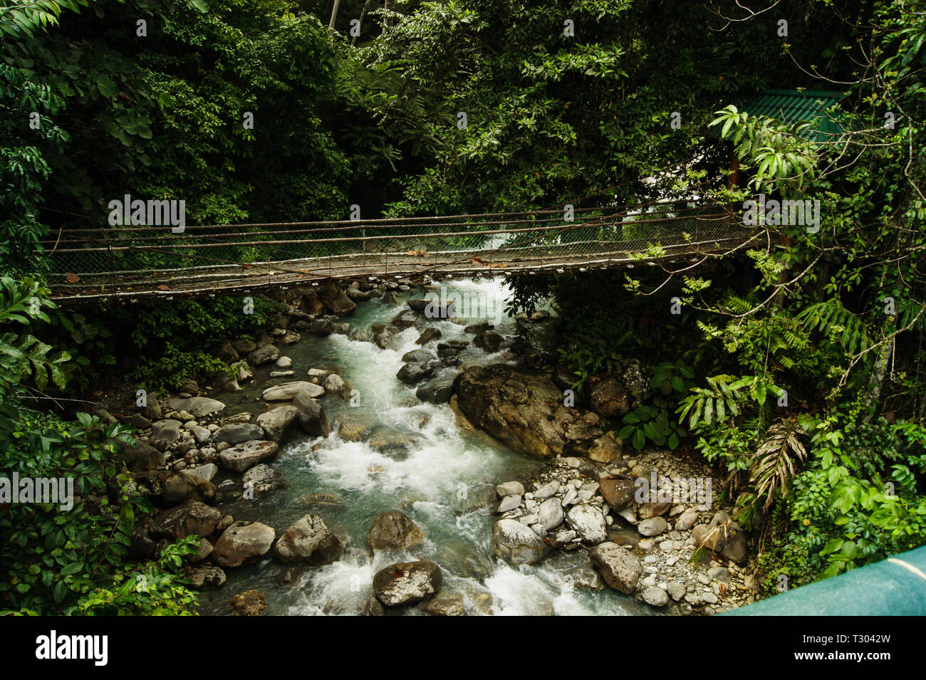 Bridge across a river at Poring Hot Spring, Ranau, Sabah Stock Photo ...