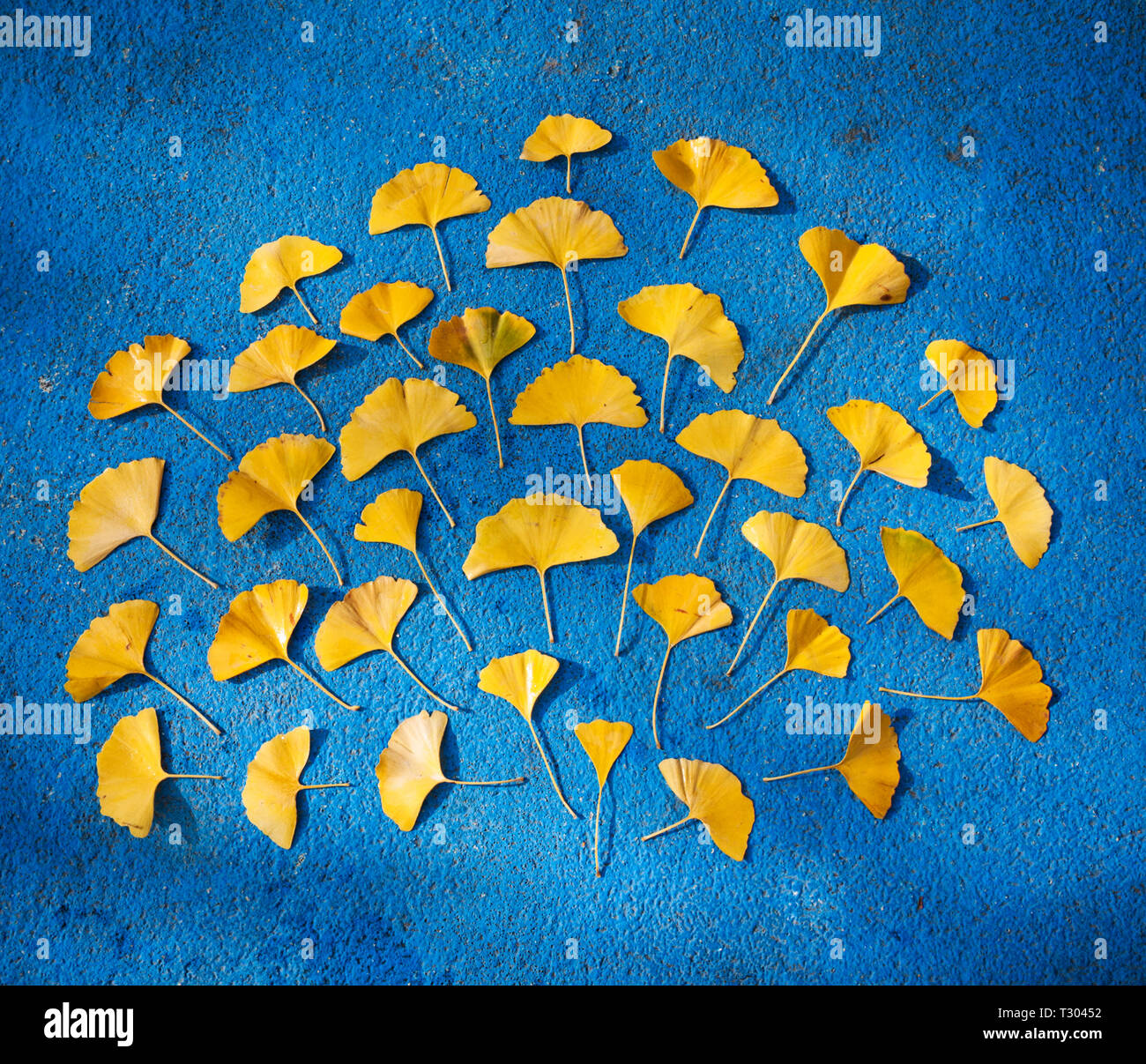 Abstract leaves background hi-res stock photography and images - Alamy