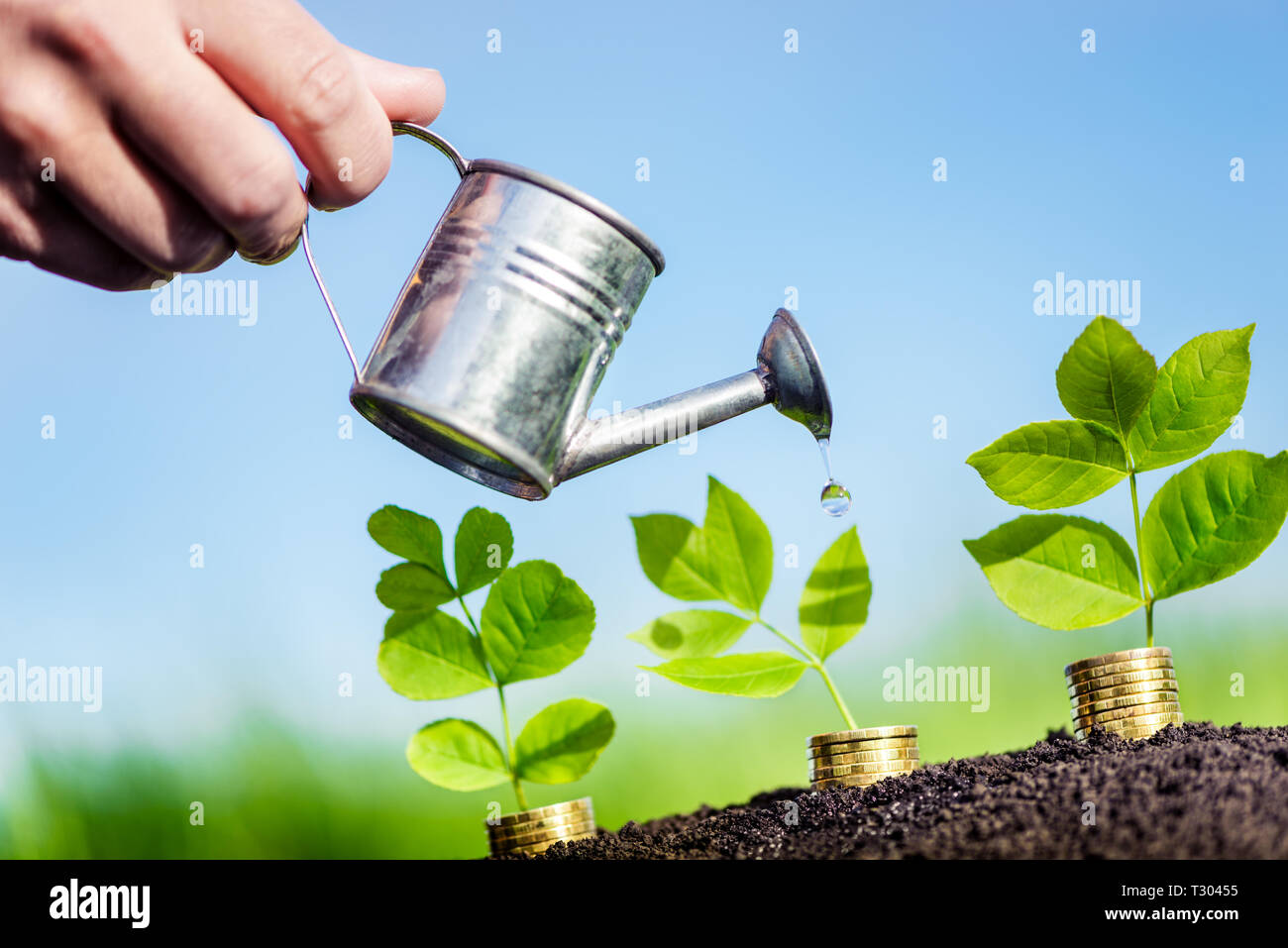 money growth concept Stock Photo - Alamy