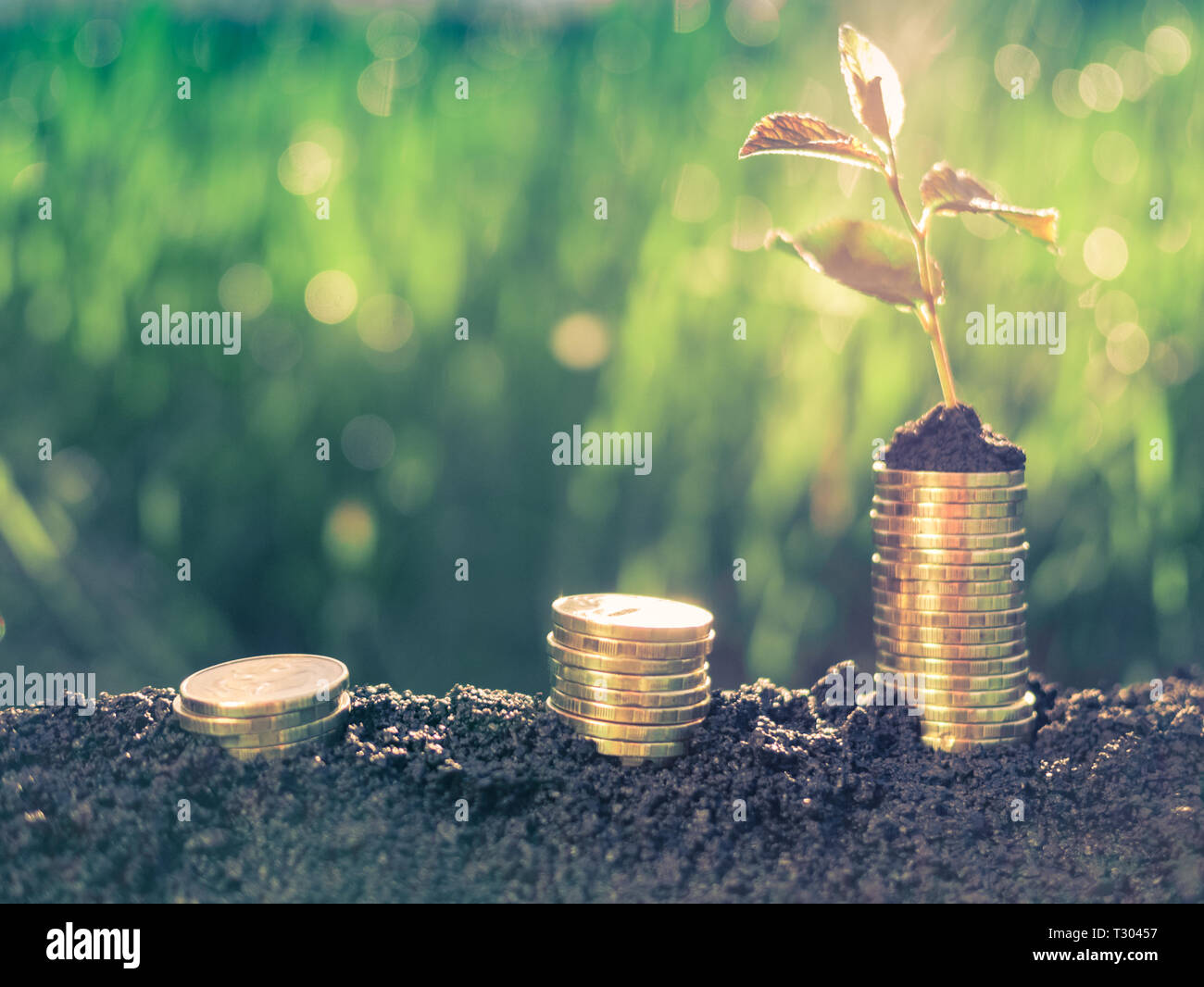 money growth concept Stock Photo - Alamy
