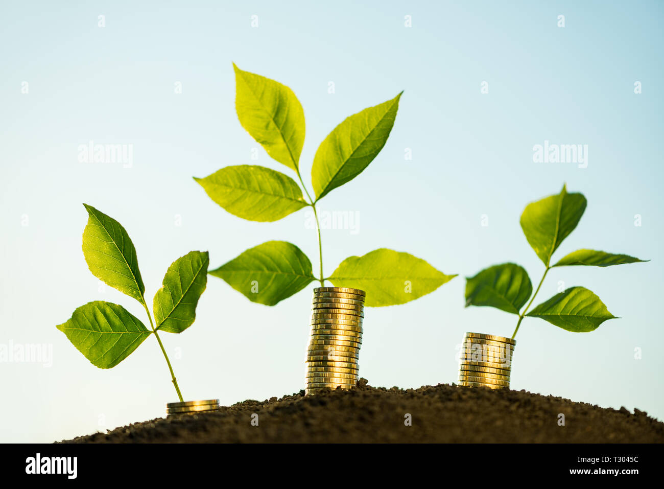 money growth concept Stock Photo - Alamy