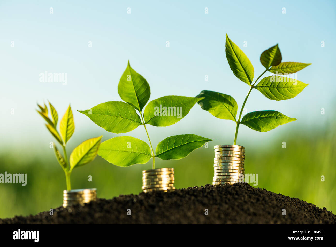 Investment growth hi-res stock photography and images - Alamy