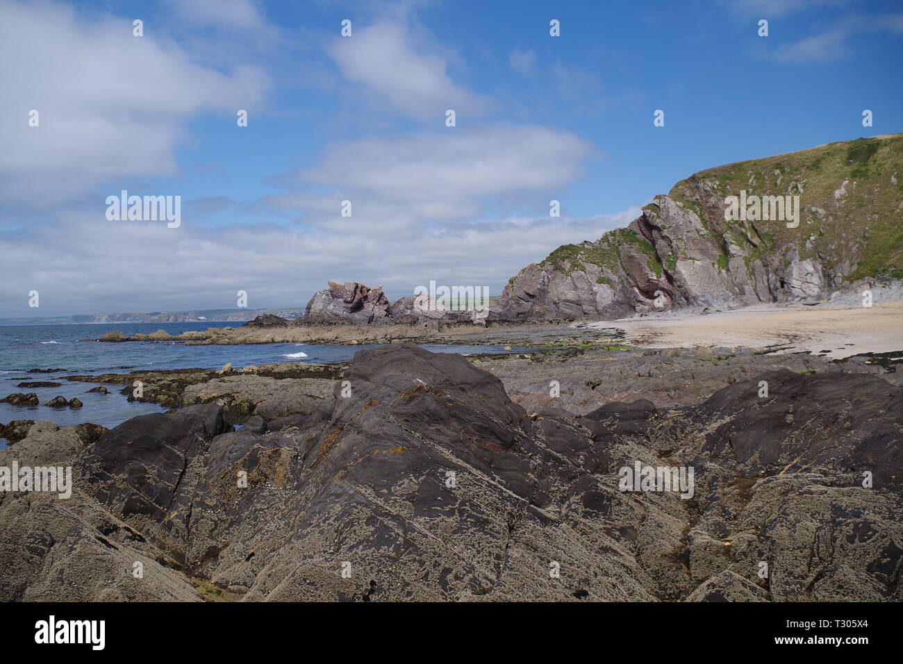 Devonian slate coastline hi-res stock photography and images - Alamy